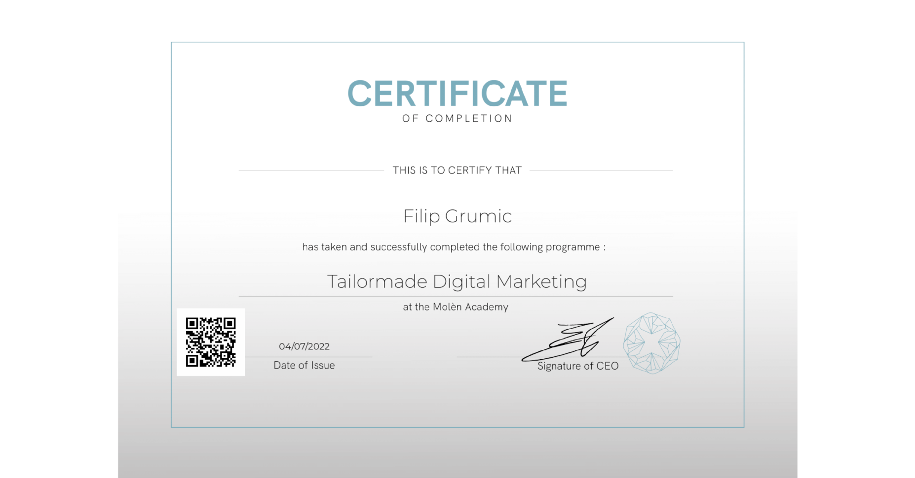 Tailormade Digital Marketing - Diplomasafe
