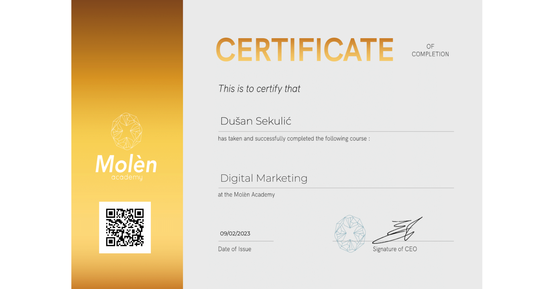 Digital Marketing - Diplomasafe